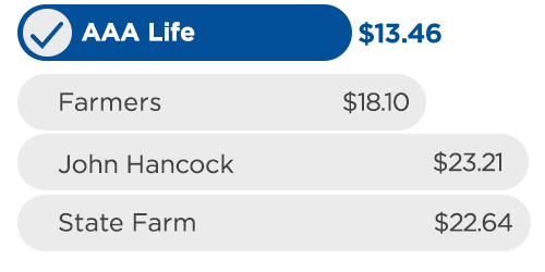 Life Insurance Company & Products | AAA Life Insurance Company
